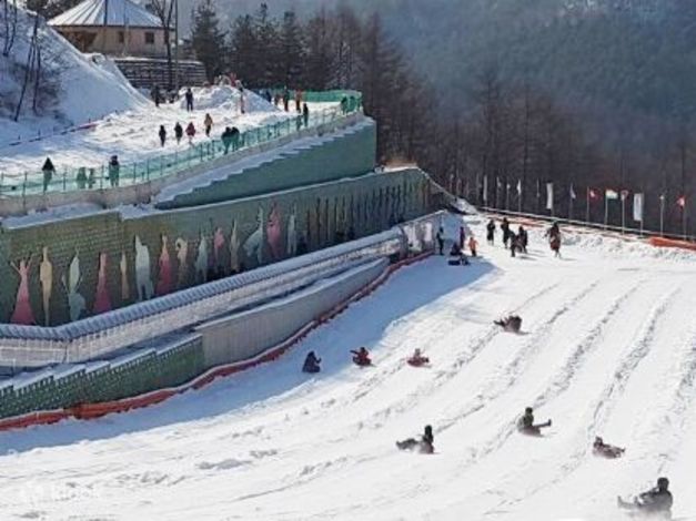 Gyeonggi-do Yangju Snowflake Festival Day Tour from Seoul - Klook India