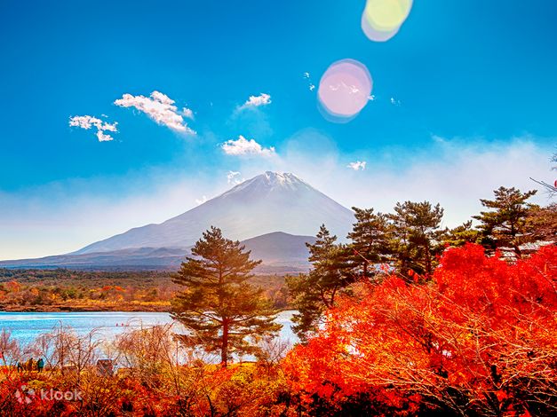 Three Lakes of Mt. Fuji｜Kawaguchiko, Yamanakako, Shojiko "Mount Fuji ...