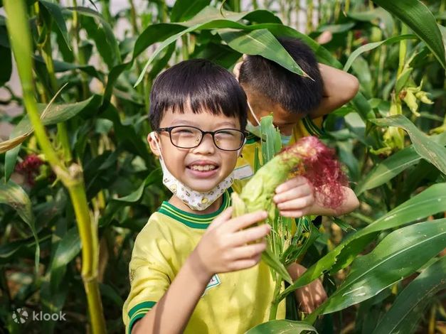 Taoyuan | Formosa Plastics Yangmei Organic Ecological Farm | Farm tour ...