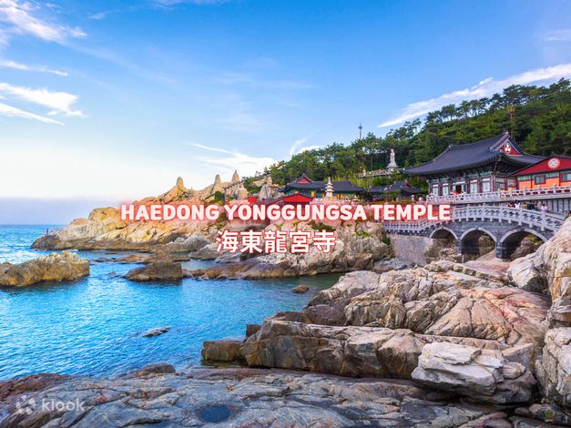 Busan City Cherry Blossom Tour with Top Attractions - Klook Philippines