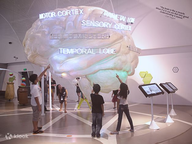 The Mind Museum BGC All-Day Pass - Klook Philippines