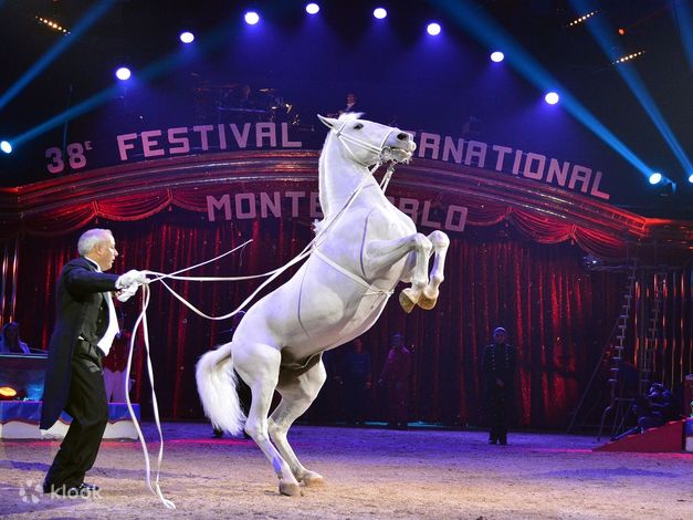 The Moscow Big State Circus Ticket in Moscow, Russia - Klook