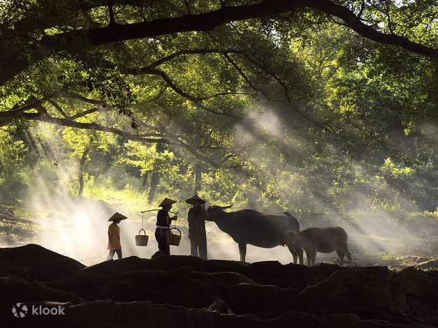 [Xiapu-Sunset Line] Yangjiaxi + Huazhu Village + Liuyun Temple + Dongbi ...