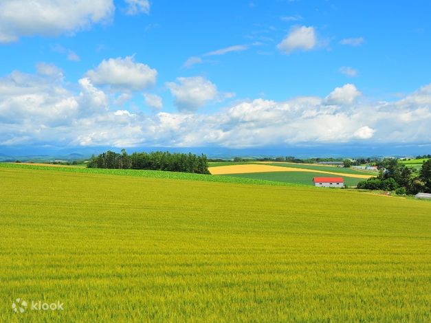 Patchwork Road, Shikisai Hill, Blue Pond, Shirahige Falls, and Farm ...