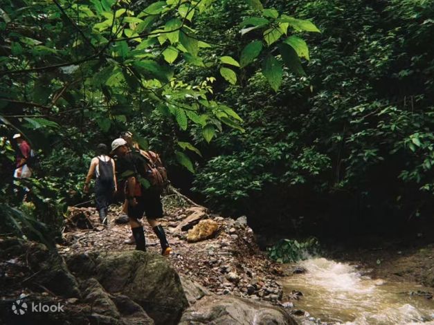 Yunnan Xishuangbanna Rainforest Hiking 1-Day Tour (Jinuo Mountain ...