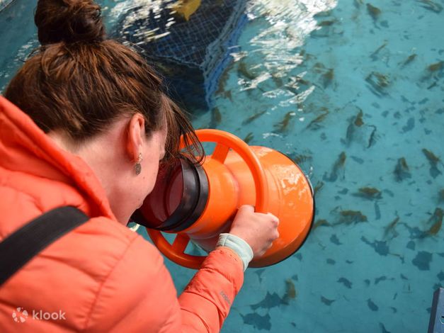 Huka Prawn Park Ticket in Taupo, New Zealand - Klook