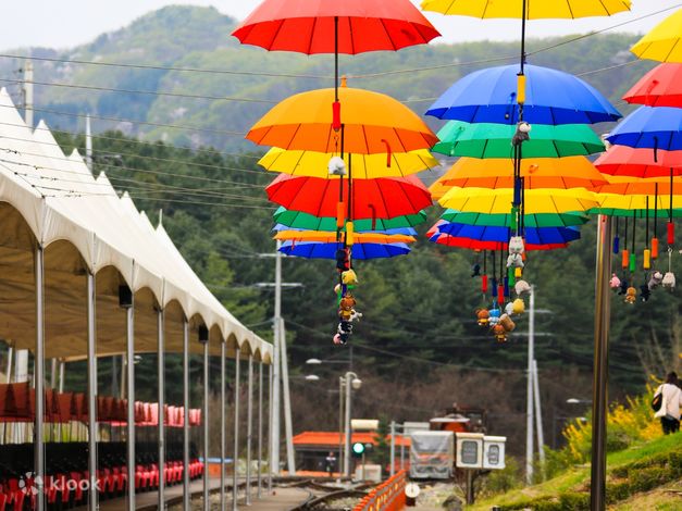 Book Gangchon Rail Bike Trip Online, Seoul - Klook
