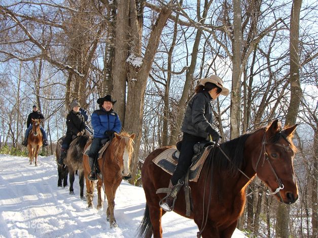 Winter Horseback Riding In Sapporo - Klook Singapore