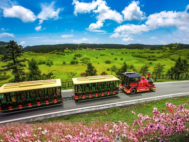 Chongqing Wulong Tiansheng Three Bridges High-end Pure Play 2-Day Tour ...