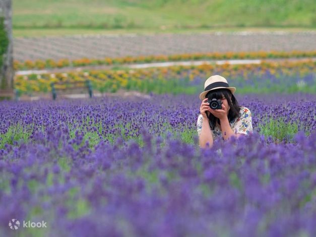 Tokyo Gunma Day Tour｜Gunma Tamhara Lavender Farm/Broom Grass Maple Red ...