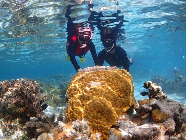 Saipan Kayaking & Snorkeling Adventure in Paupau Beach - Klook New Zealand