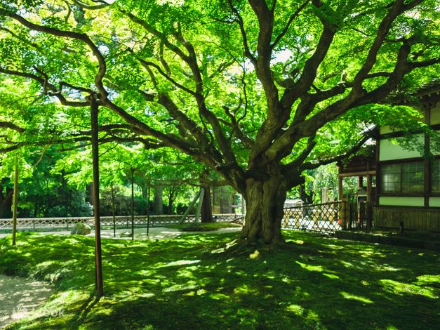 Photogenic Wanderings: Journey to Raizan and Takeo Mifuneyama Rakuen ...