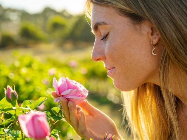 Jurlique Farm Tour at Adelaide Hills - Klook United States