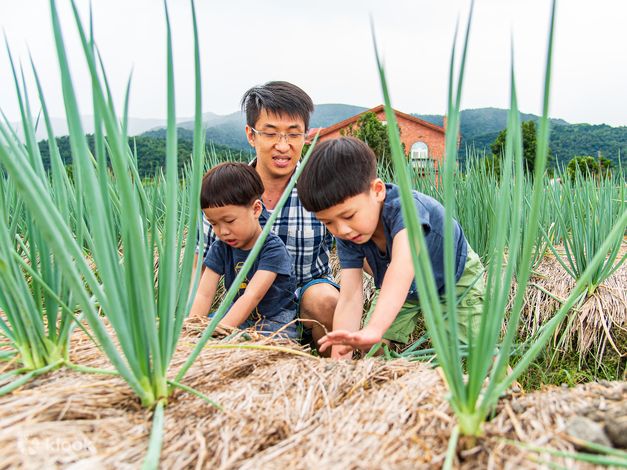 Yilan: Xingbao Onion Experience Farm - Klook Singapore