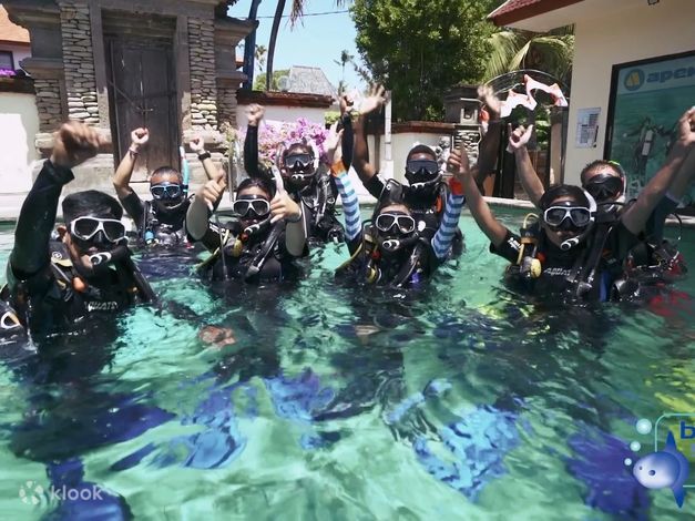 Discover Scuba Diving - Pool Experience with PADI 5 Star Dive Center ...