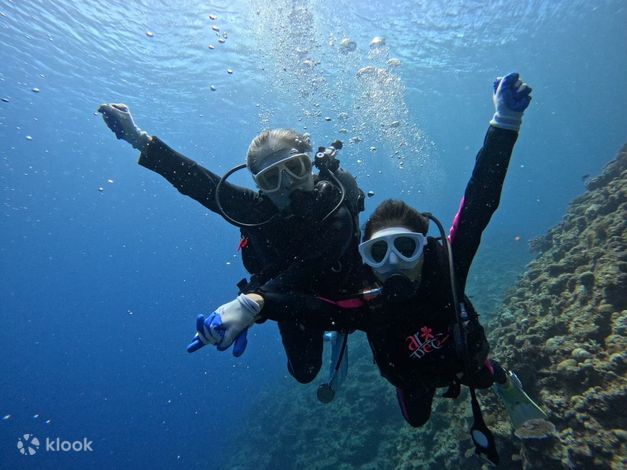 沖縄：青の洞窟ダイビング体験 - GoPro撮影＆水中魚の餌付け無料（1グループパッケージ） | Klook