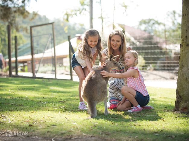 Paradise Country Farm Experience Gold Coast - Klook India