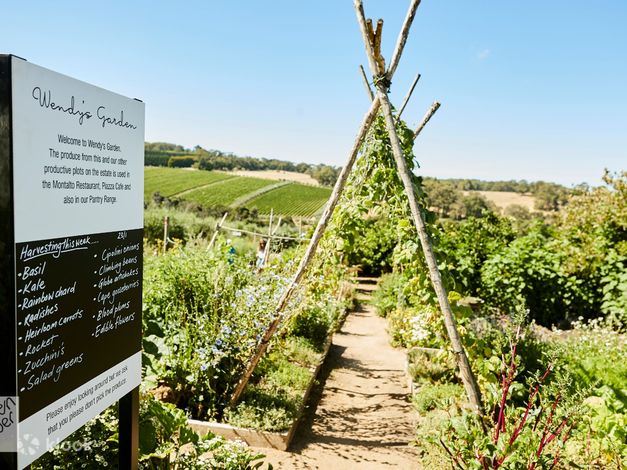 Montalto Winery Tour in Melbourne - Klook Россия