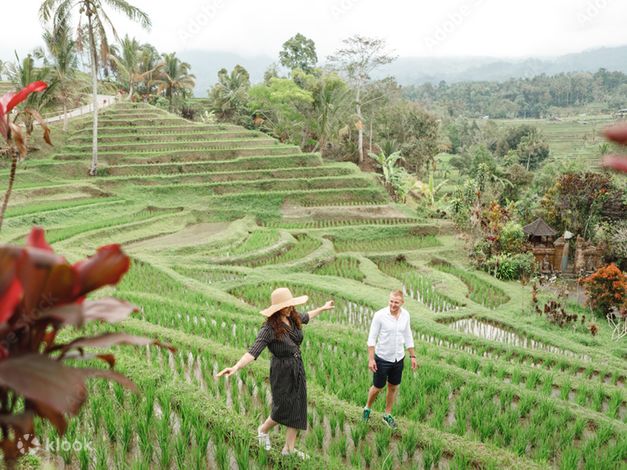 Bali Multiday Private Tour - Klook