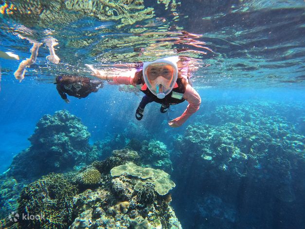 Orchid Island: Free GoPro photography for snorkeling experience - Klook