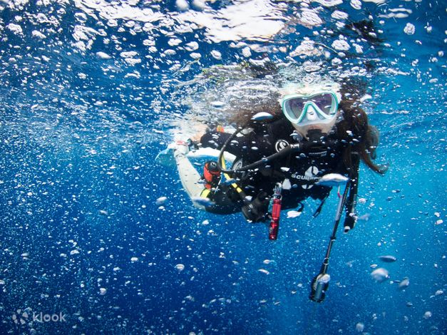 FUN DIVE Experience local diving (diving license required) / Xiaoliuqiu ...