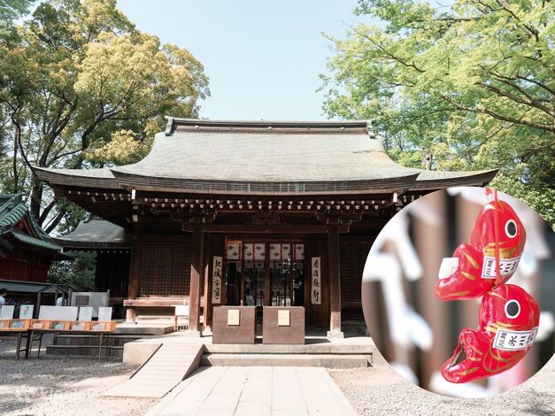 [One-day cherry blossom viewing tour in the suburbs of Kanto] Gongendo ...