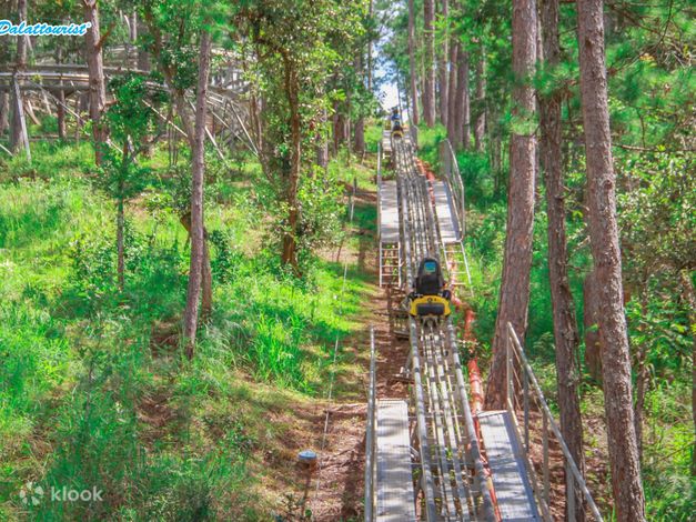 大叻达坦拉New Alpine Coaster高山过山车体验 - Klook客路