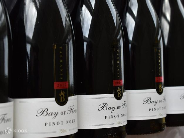 Vertical Pinot Tasting at Bay of Fires Winery - Klook