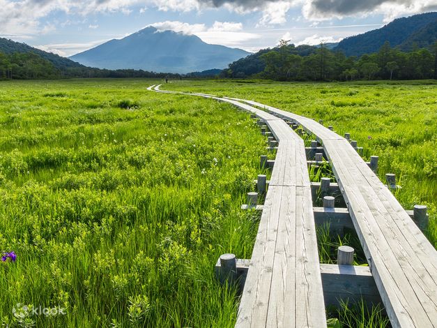 [Gunma Scenic Hiking Tour] Japan's Largest Plateau Wetland "Oze-no-hara ...