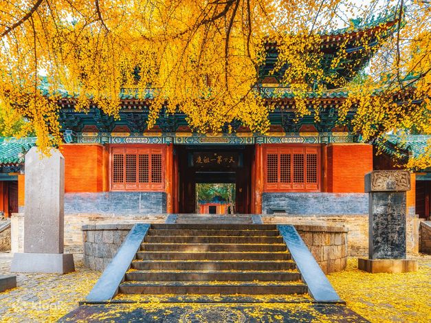 Henan Shaolin Temple & Longmen Grottoes One-Day Tour (Depart from ...