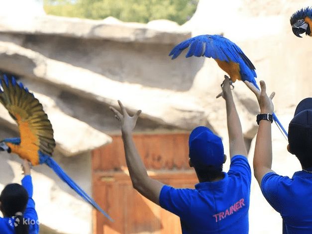 Emirates Park Zoo in Abu Dhabi - Klook