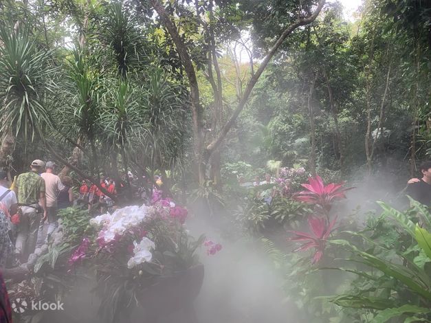 Sanya Yanoda Tropical Rainforest One-Day Tour, Rainforest Adventure Fun ...