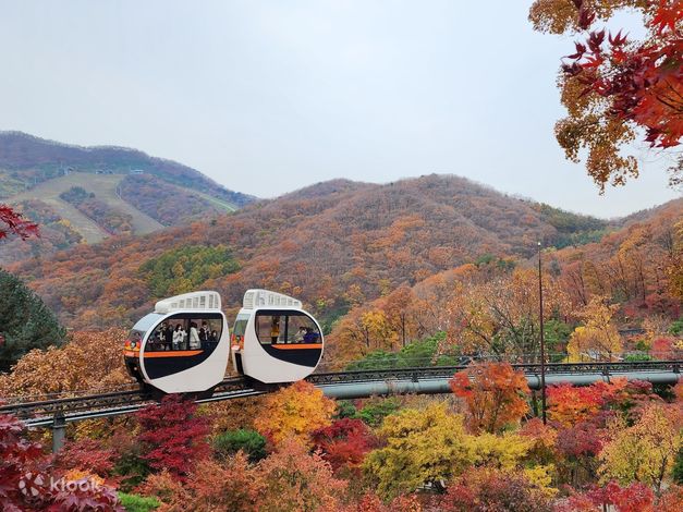 Yangpyeong Day Tour from Seoul - Klook Singapore