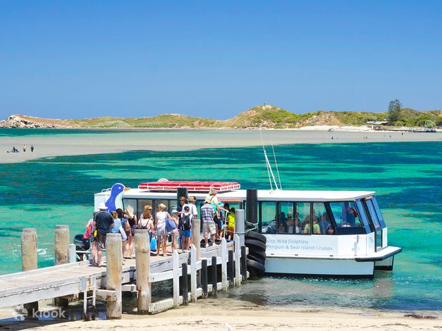 Dolphin, Penguin And Sea Lion Cruise In Rockingham, Perth - Klook