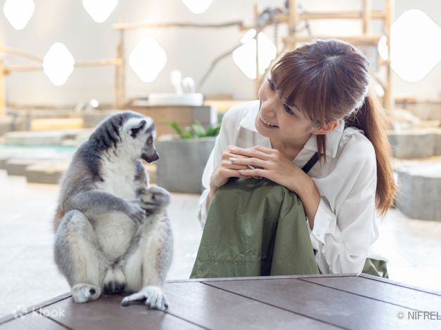 大阪水生美世界 NIFREL 電子門票 - Klook 客路