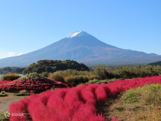 One-day trip to Mount Fuji Kawaguchiko & Arakurayama Sengen Park ...