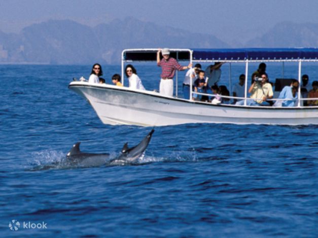 Snorkeling and Dolphin Watching Tour in Muscat - Klook India