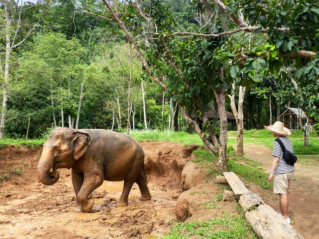 Phuket Nature Elephant Reserve Experience - Klook