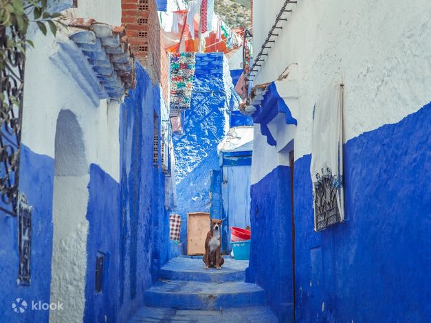 Chefchaouen Private Guided Tour from Casablanca - Klook