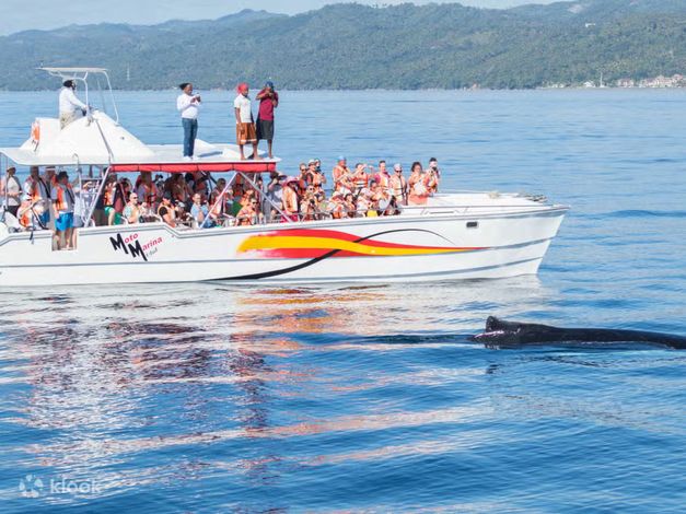 Whale Watching and Cayo Levantado Day Tour in Samana - Klook