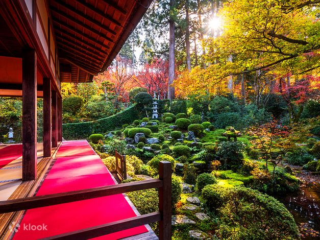 Kyoto Sanzen-in Temple & Arashiyama Train & Sagano Bamboo Forest Trail ...