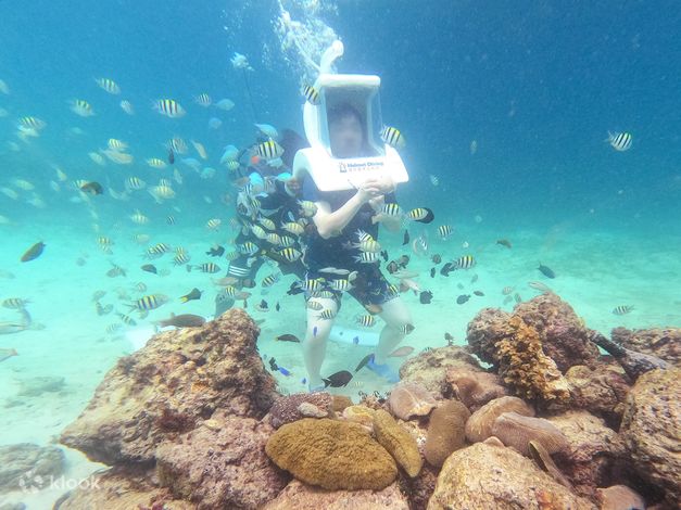 Explore Underwater Wonders: Cebu Helmet Dive Experience with Sea ...