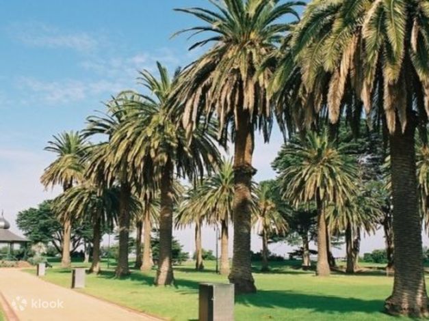 Melbourne Walking City Tour - Klook Philippines