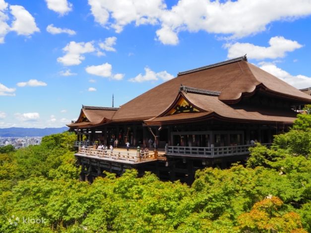 One-day tour to Japan's Victory Daruma Temple｜A walk to the popular ...
