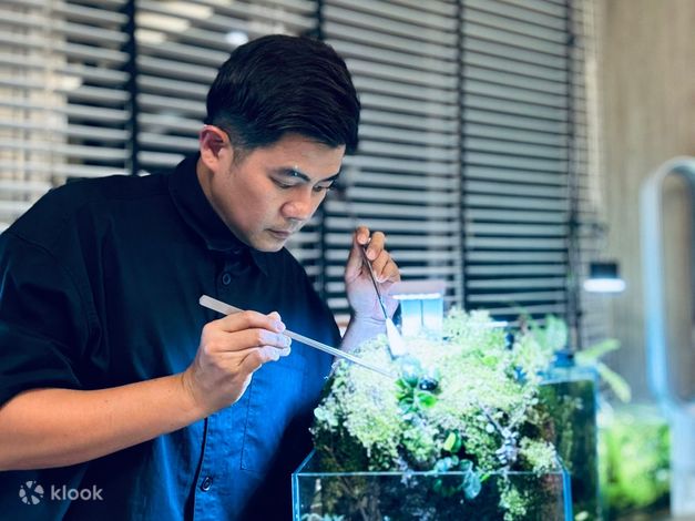 Singapore Terrarium Making Workshop - Klook Philippines