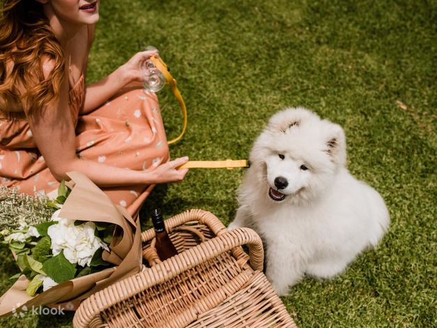 聖哈雷葡萄酒 (St Hallet Wines) 巴羅莎谷的豪華野餐體驗 - Klook 客路