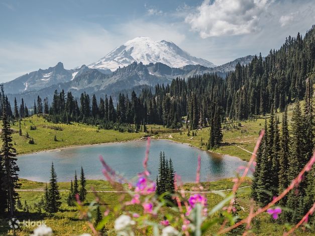 Private Full-Day SUV Tour of Mt. Rainier National Park in Seattle ...