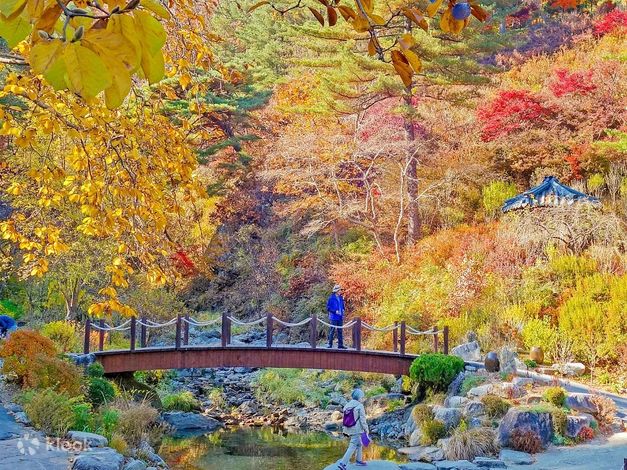 Nami Island Customizable Private Day Tour from Seoul - Klook Canada