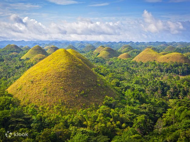 Bohol Day tour with Chocolate Hills, Tarsier, Loboc River Cruise ...
