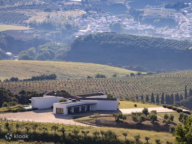 From Málaga: Ronda City Tour & Winery Experience with Wine Tasting - Klook